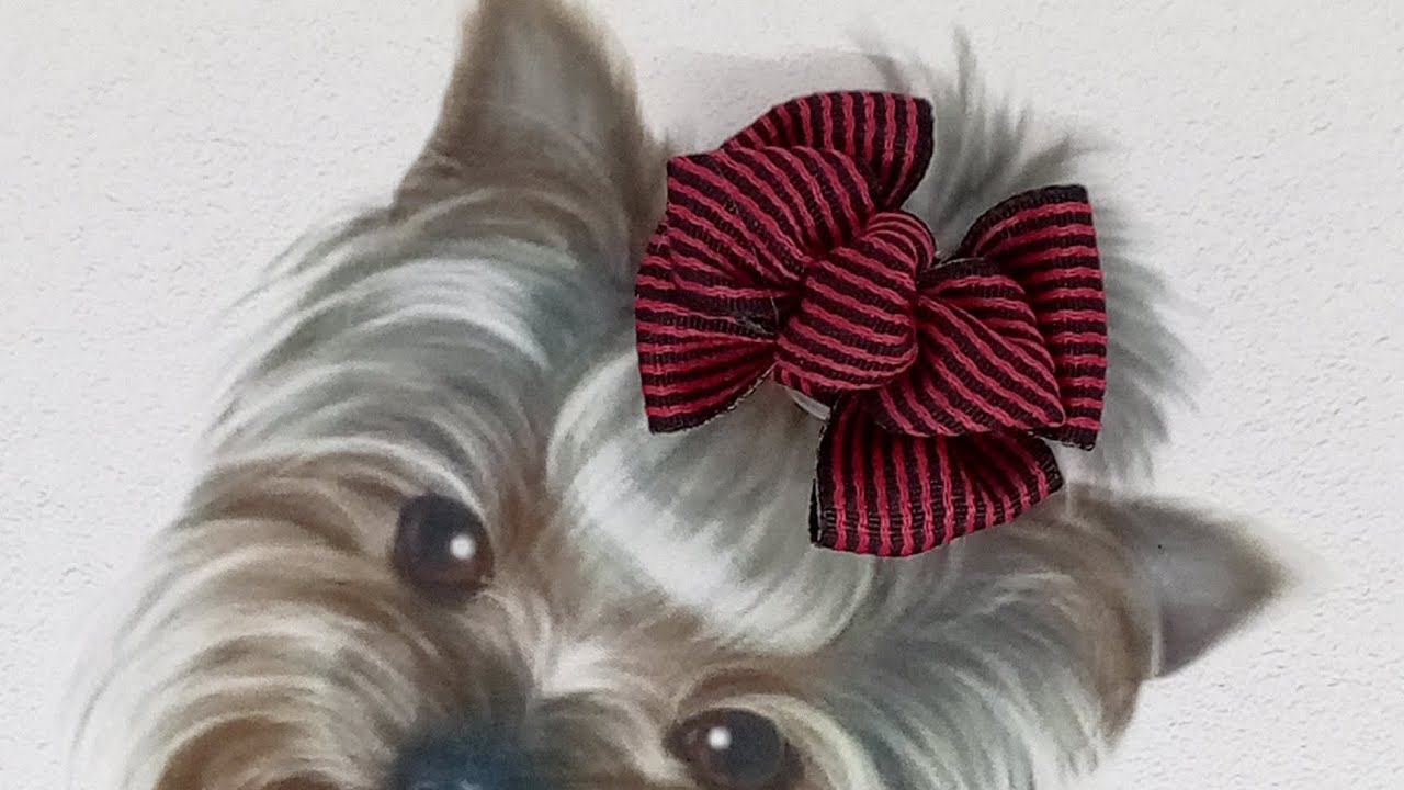 МК. Бантик для любимого питомца.