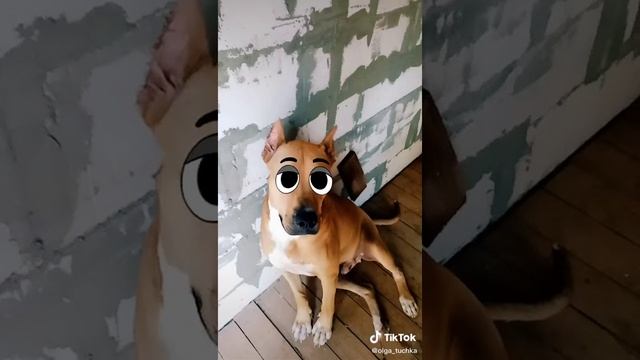 у курского вокзала СимСим