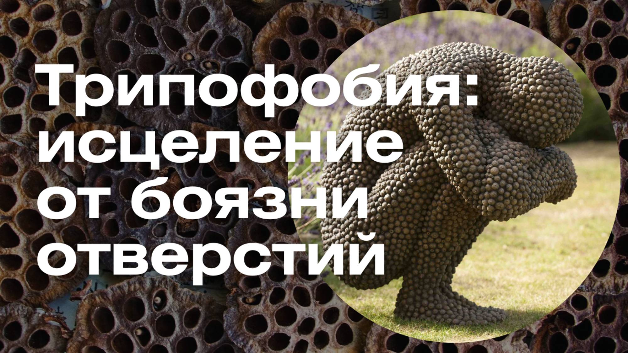 Избавление от фобии методом психокатализа