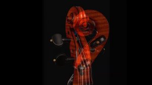 Violino G XXI 2015 Triennale