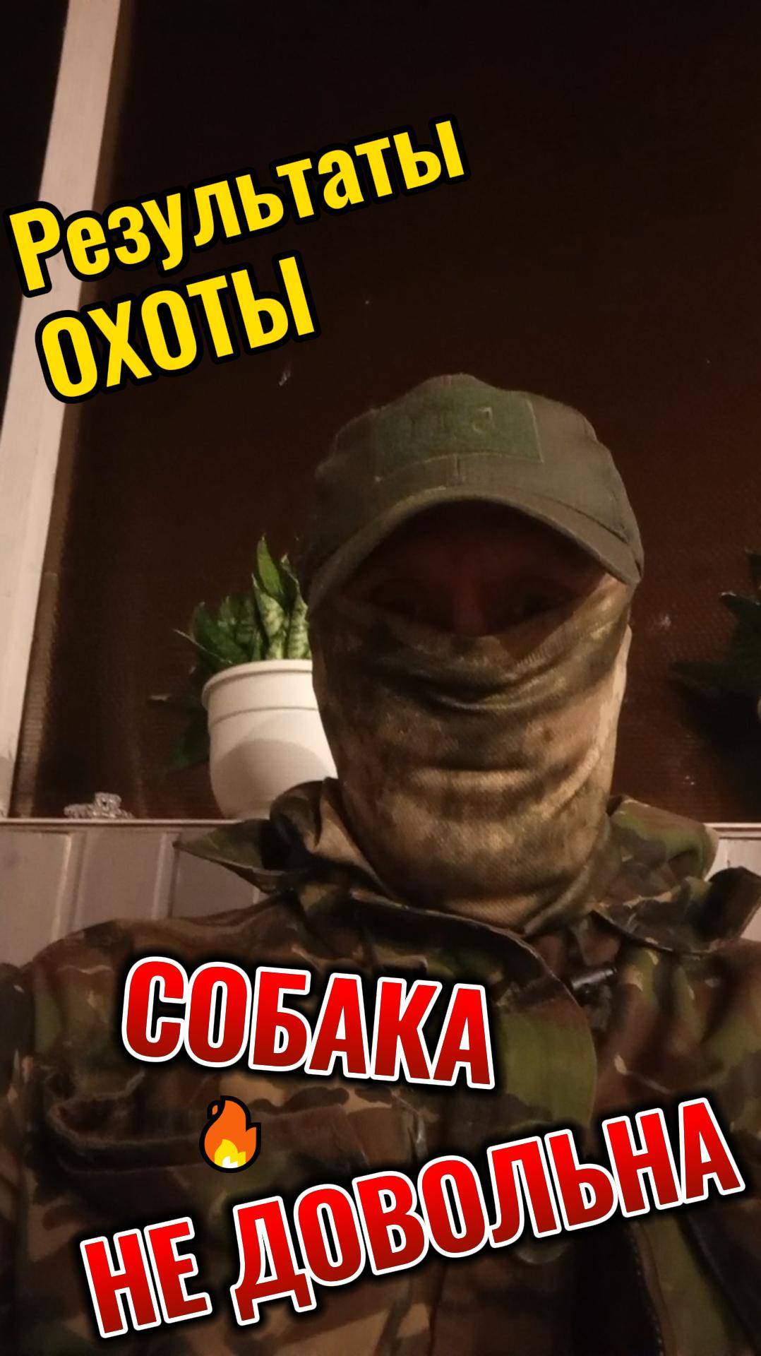 Собака не довольна охотником