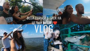 VLOG: ЕЙСК 2024, ПТИЧИЙ ОСТРОВ, АЗОВСКОЕ МОРЕ, КАТАЕМСЯ НА САПАХ, ЗООПАРК, СНЯЛИ БАГИ, ДЕНЬ С МУЖЕМ