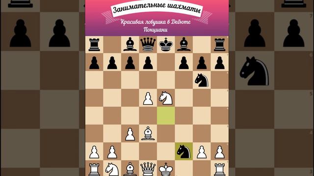 Мат пешкой блуждающему королю в Дебюте Понциани