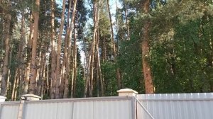 ОТКАТ И ОБРАТКА.ПОГОВОРИМ