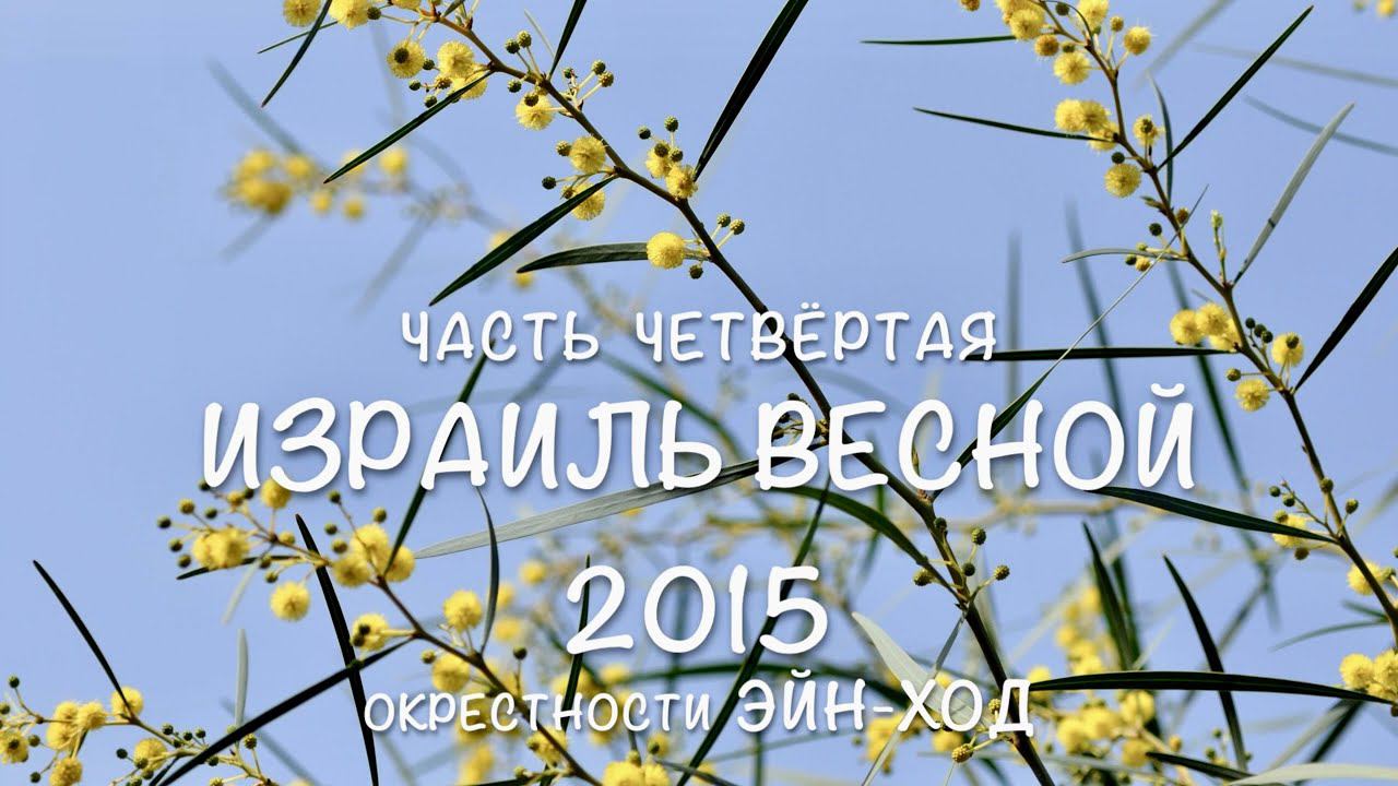 Израиль весной 2015 (часть 4) Окрестности Эйн-Ход