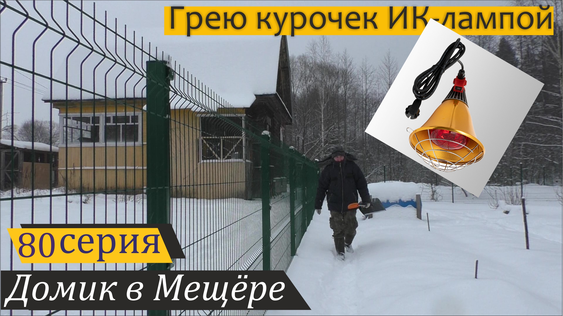 Выпал снег, утепляю курочек и саженцы. Домик в Мещёре, серия 80