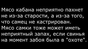 3. Немец-украинэць