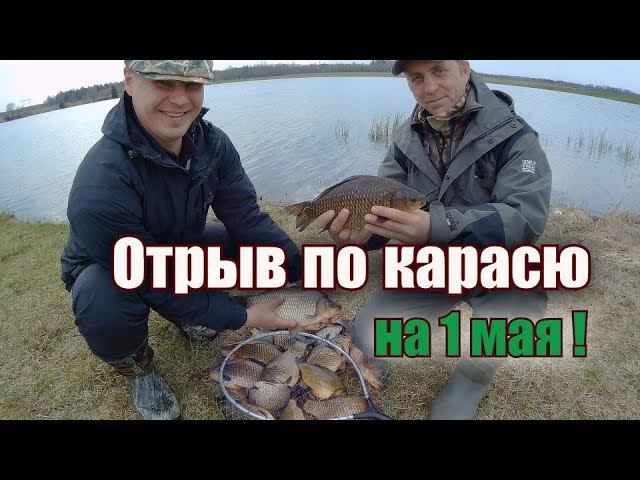 Отрыв по карасю на 1 мая! Ловля крупного карася на фидер