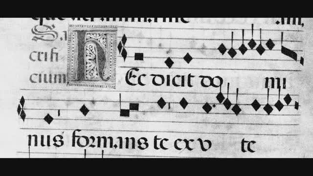 Haec dicit Dominus formans te ex utero