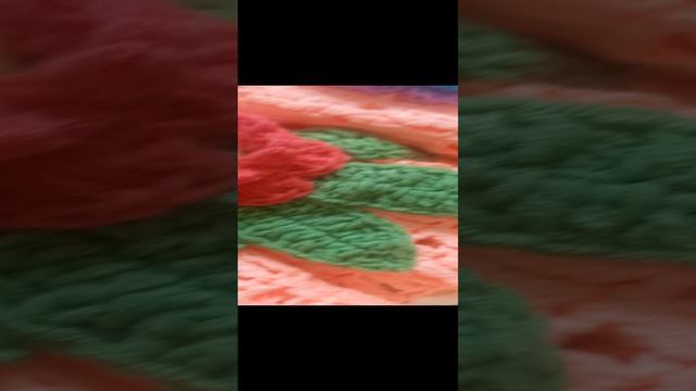 Платье "леди совершенство"