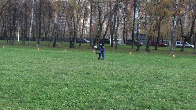 Татьяна и Пуля - фризби-фристайл.mp4