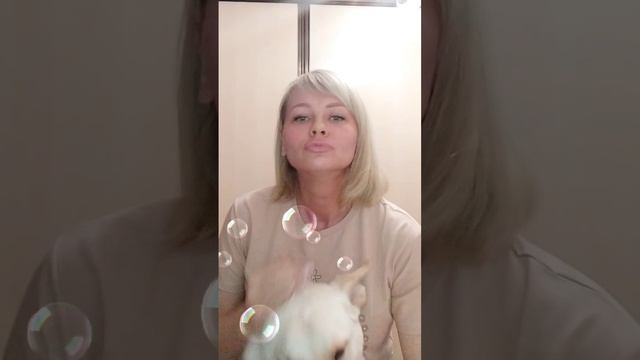 Непоседа ?