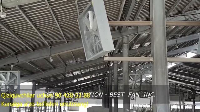 Fermalar uchun xitoyda ishlab chiqarilgan ventilyatorlar.mp4
