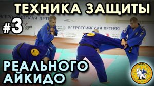 Техника Реального Айкидо - 3: ЗАЩИТА от Ударов. Семинар Владимира ВОКИЧА (7-й Дан).