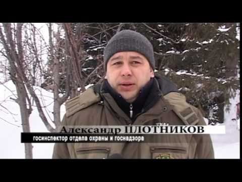 ФСК 22 01 15