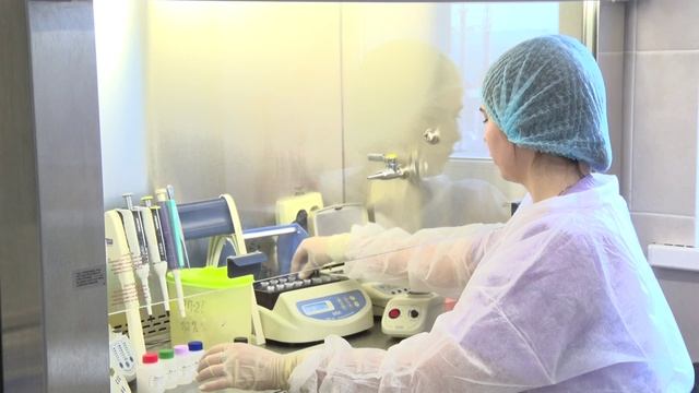 С помощью «Меркурия» в Белгородской области выявлены фальсифицированные корма для домашних животных