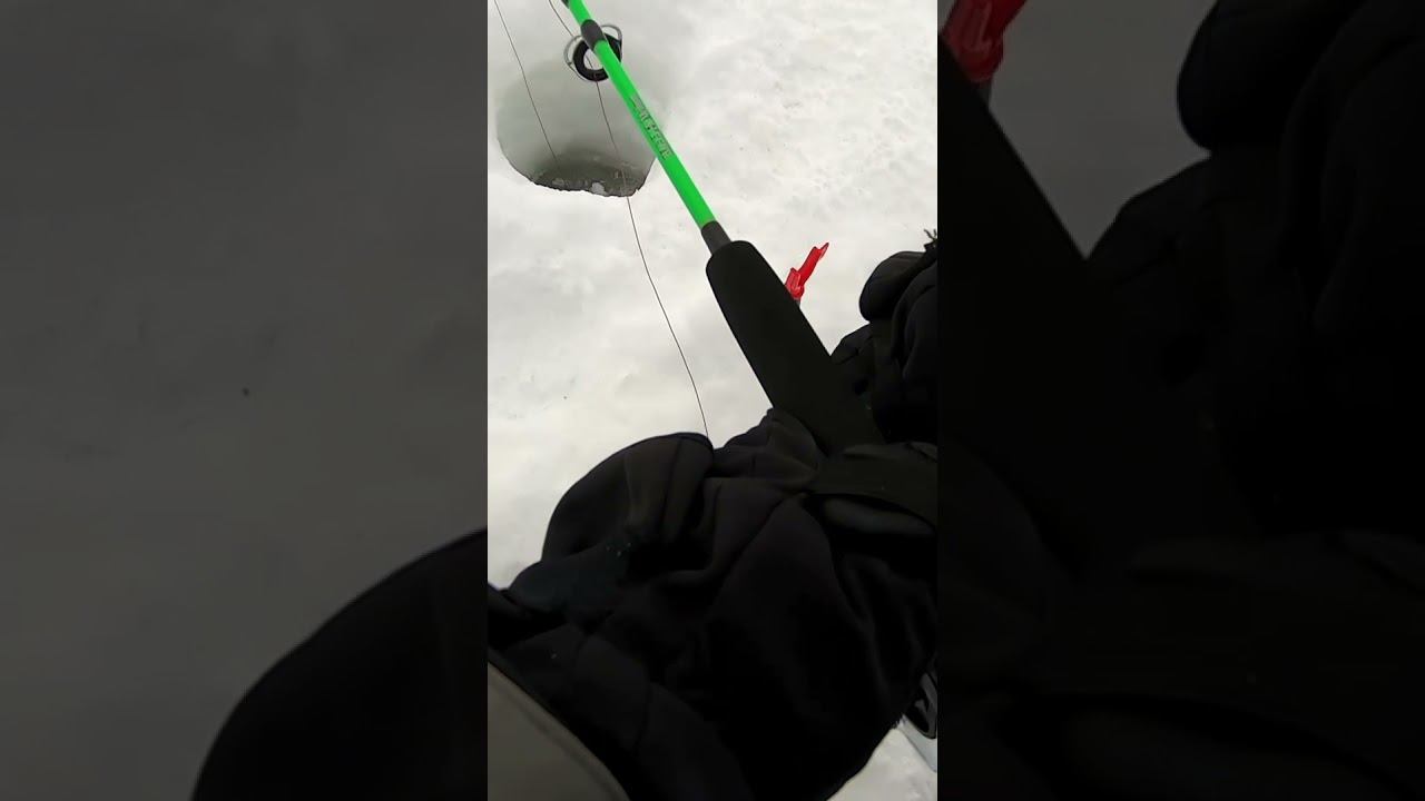 Скандинавская жерлица #shorts