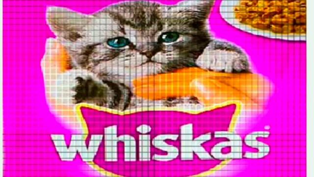 Бискас не сматри😭