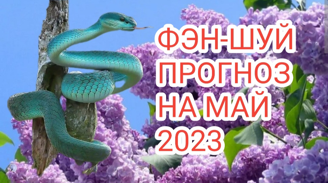 ФЭН-ШУЙ ПРОГНОЗ НА МАЙ 2023#5