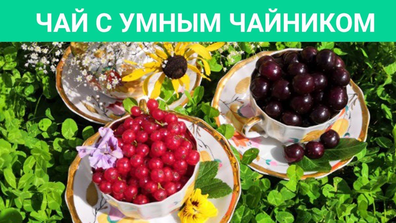 Марокканский тонизирующий чай из российских трав