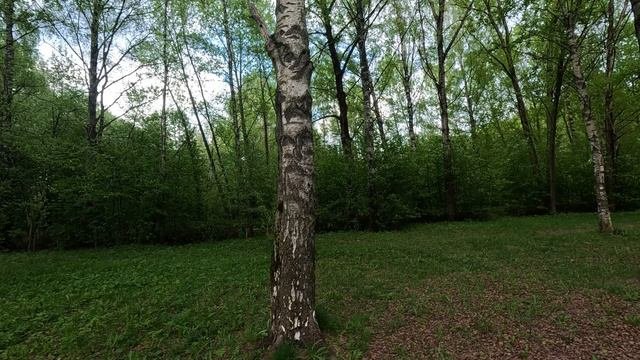 Грустная музыка из Тик Тока без слов для фона. Фоновая музыка для Стихов Цитат