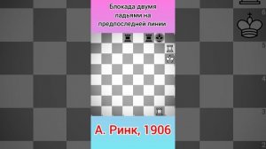 4 ладьи | Красивый этюд !!!