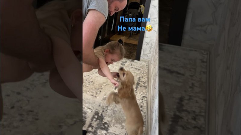 Драка с собакой #baby #топ