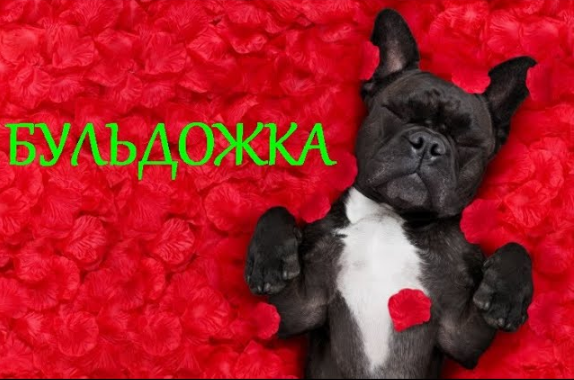 КОЛЫБЕЛЬНАЯ. БУЛЬДОЖКА. СТИХИ ДЛЯ МАЛЫШЕЙ. ПОТЕШКИ. Короткие стишки для самых маленьких.