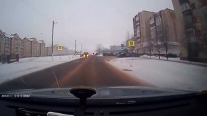 Интелегентный кот переходит дорогу только по ПДД