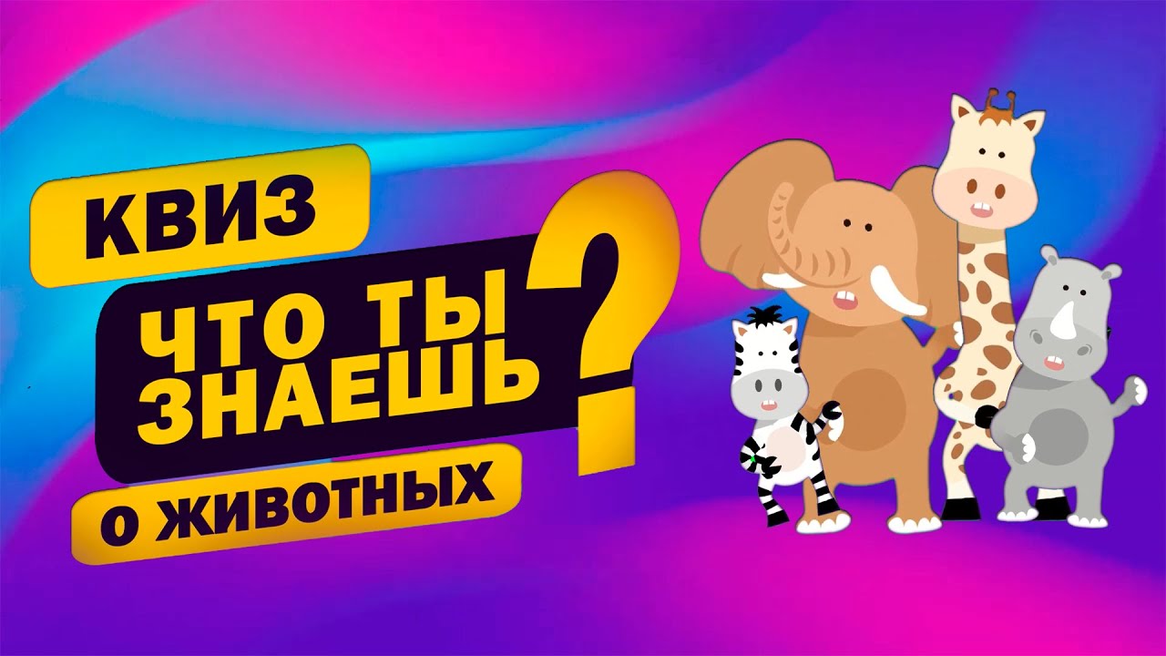 Детский Квиз про животных / Детская викторина.mp4