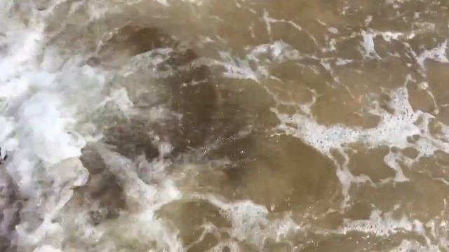 Большая медуза во Вьетнаме