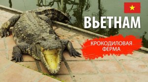 Крокодиловая ферма | Вьетнам