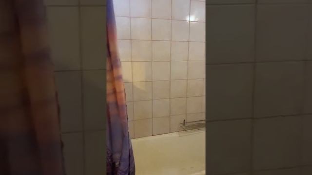 Продажа двух комнат на Шоссе революции, 87.mp4