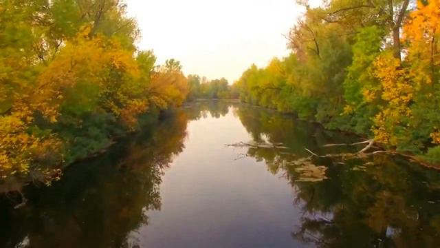 За родную болящую Русь