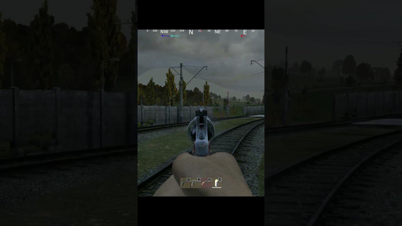 Get down Mr. President! #dayz #shorts