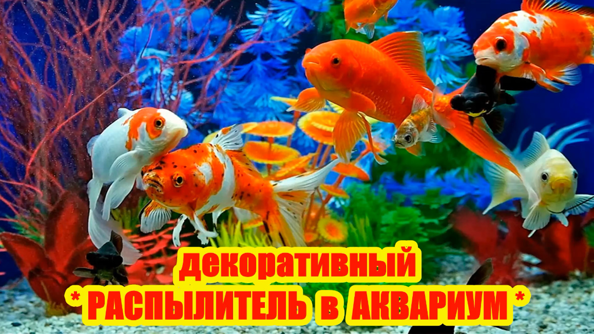 Оригинальный распылитель для аквариума.