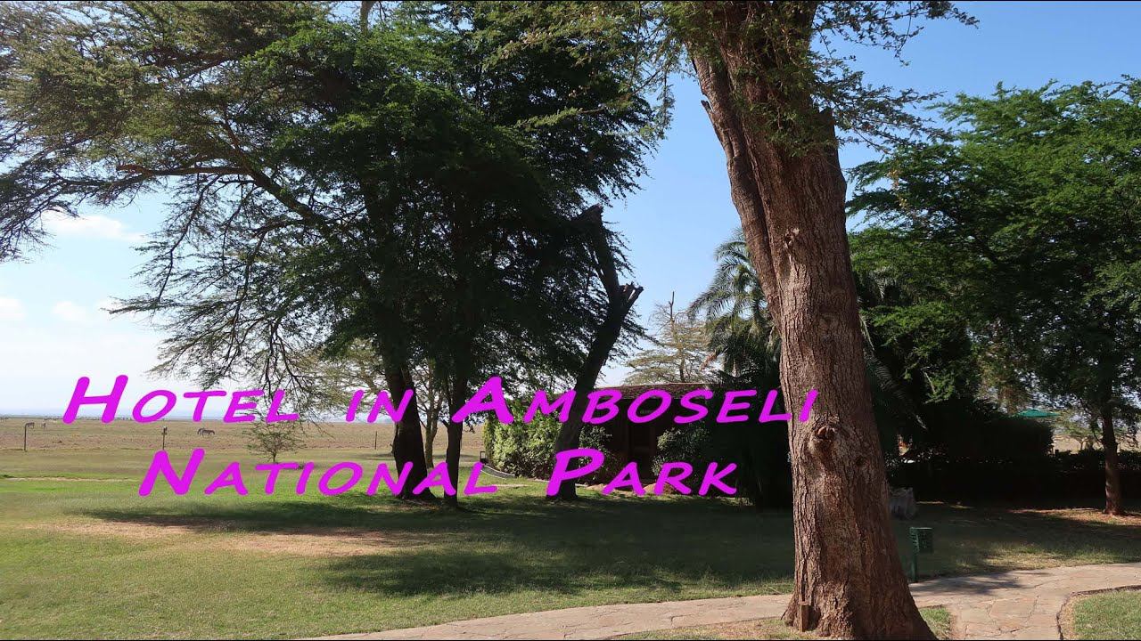 Отель в Национальном парке Амбосели   Hotel in Amboseli National Park