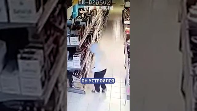 Воришка решил отметить успешное ограбление!