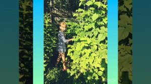 Киселева Елизавета.mp4
