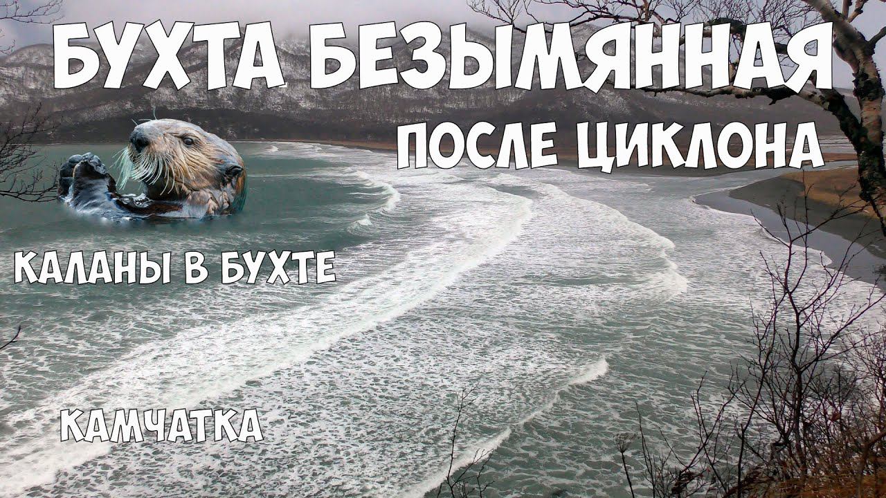 Камчатка Бухта Безымянная после циклона