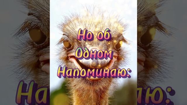 С днём смеха