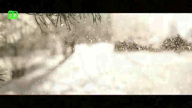 Песня о любви "Вино любви", стихи Вера Бабенко