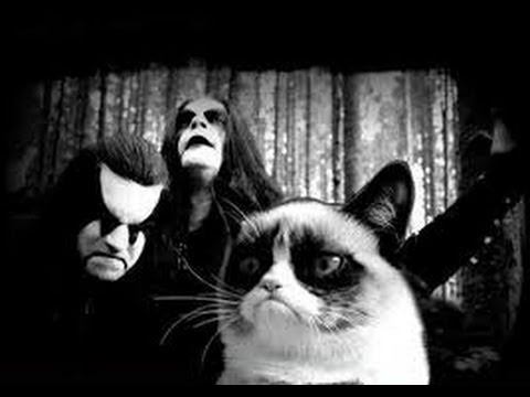 Black Metal Cats (блек метал коты)