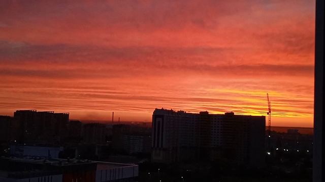 Вот так меня встретил Оренбург. Июль 2022 г.
