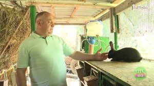 Крым - прекрасное место для занятий любимым делом