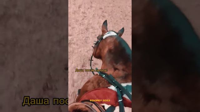 ваша лошадь любит галоп?✨ омг я впервые в седле за 2 месяца🥵