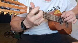 Breeze Dolphin Ukulele
