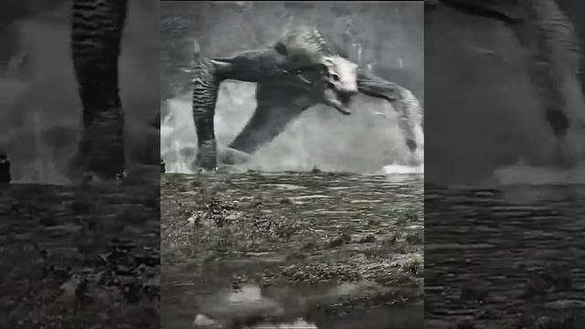 VID_20240722_123931_693.mp4