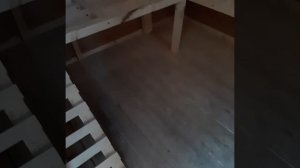 Курятники в Тольятти
