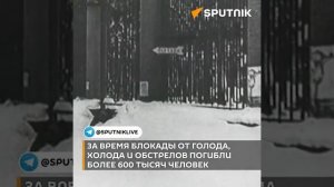 Блокада Ленинграда. К 80 летию освобождения.